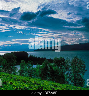 Lake Markakol. The Altai Mountains. East Kazakhstan Stock Photo - Alamy
