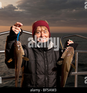 Freshly caught cod Stock Photo - Alamy