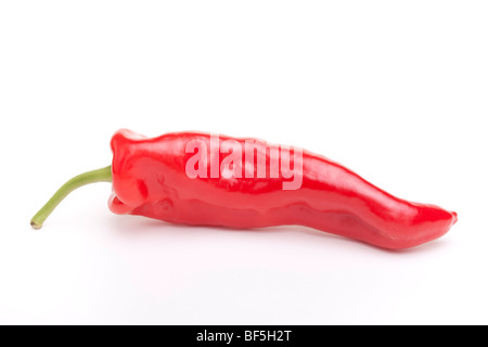 Large red sweet chilli pepper isolated against white background Stock ...