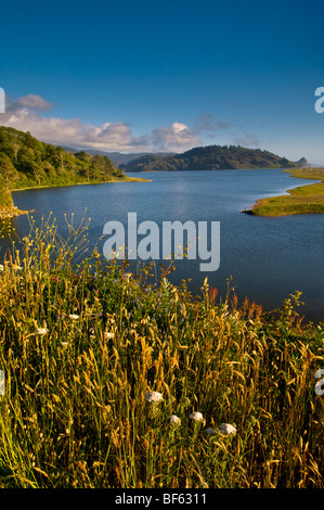 Stone Lagoon, Humboldt Lagoons State Park, California Stock Photo - Alamy