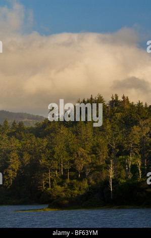 Stone Lagoon At Humboldt Lagoon State Park California Stock Photo - Alamy