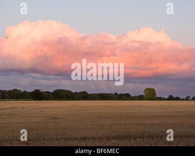 sunset with clouds over field at autumn Stock Photo - Alamy