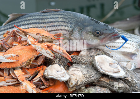 Crabs, oysters, and rockfish on the eastern shore Stock Photo - Alamy