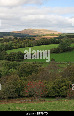 Fan Nedd, Brecon Beacons, Wales, UK Stock Photo - Alamy