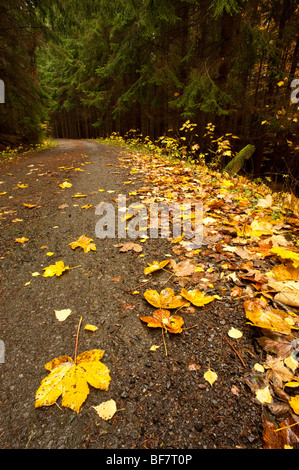 Folio on the road in autumn country in red and yellow Stock Photo - Alamy