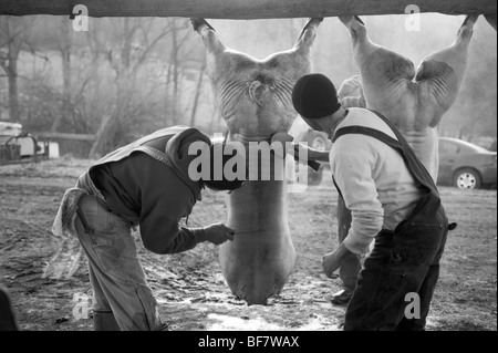 Backyard family hog butchering on farm Stock Photo - Alamy