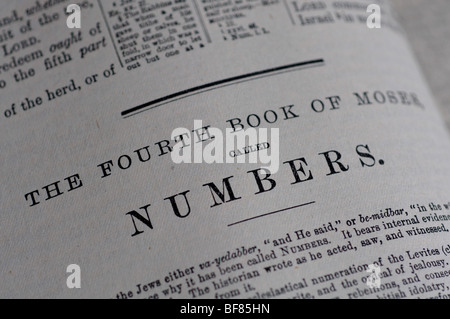 The Book of Numbers bible heading Stock Photo - Alamy