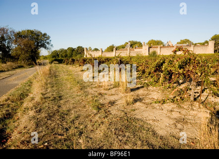 Chateau Grezan near Beziers, Languedoc-Roussillon, France Stock Photo ...