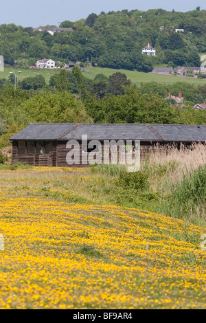 RSPB nature reserve Conwy North Wales Stock Photo - Alamy