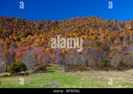 Fall foliage colors in Virginia Stock Photo - Alamy