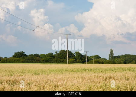 Views along Downs Link Cycle path in Sussex Stock Photo - Alamy