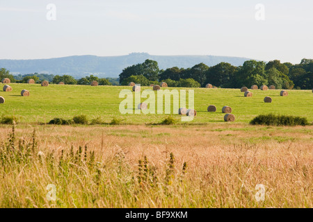 Views along Downs Link Cycle path in Sussex Stock Photo - Alamy