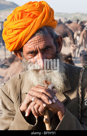 Pushkar fair, Portrait of an rajasthani rajput male with beard and ...