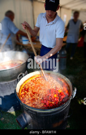 Beef Porkolt ( marhaporkolt). Paprika food festival. Hungary Stock ...