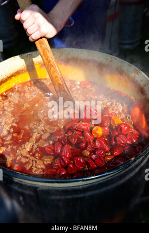 Beef Porkolt ( marhaporkolt). Paprika food festival. Hungary Stock ...