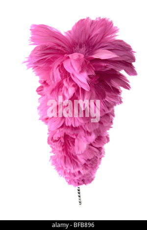 A pink feather duster Stock Photo - Alamy