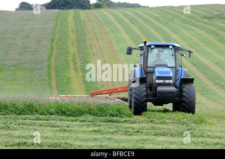 Mechanized cutting of red clover for animal haylage, Cotswolds, UK ...