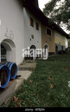 The Stara Hora, a picturesque settlement of wine cellars near ...