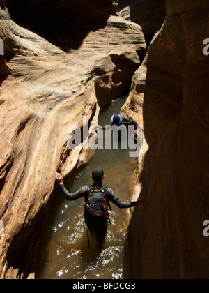 Women wade through waist deep water to harvest paddy cultivated as part ...
