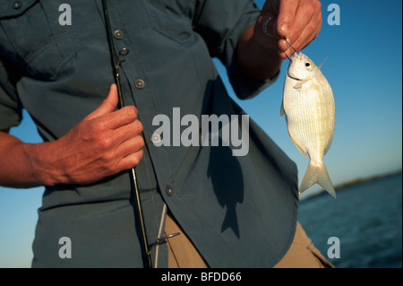 Person holding a small fish in hands Stock Photo - Alamy