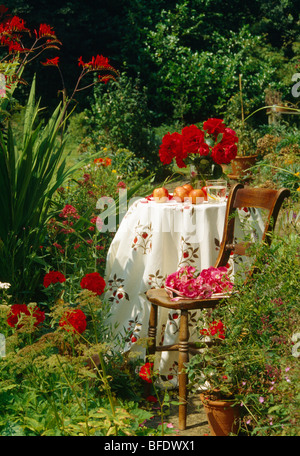 Red roses on chair beside window with curtain Stock Photo - Alamy