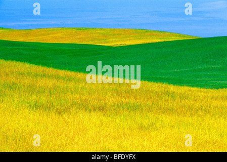 Landscape Saskatchewan Prairie Stock Photo - Alamy