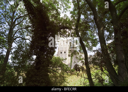 views of corfe castle vllage from the purbeck way long distance ...