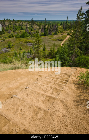 Overview of the Spirit Sands trail from atop a sand dune in Spruce ...