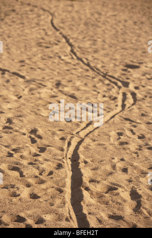 sandy path with cycle bike tire tracks with vignette. background ...