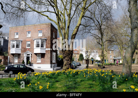 Daffodils Pond Square Highgate Village London England UK Stock Photo ...