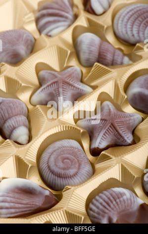chocolate candy seashells in box close up Stock Photo - Alamy