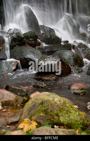 Waterfall in Park Sonsbeek in Arnhem, the Veluwe, the Netherlands. You ...