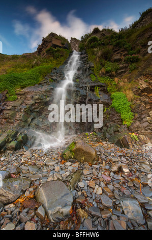 Coastal waterfall on the beach at Bucks Mills at the bottom of the ...