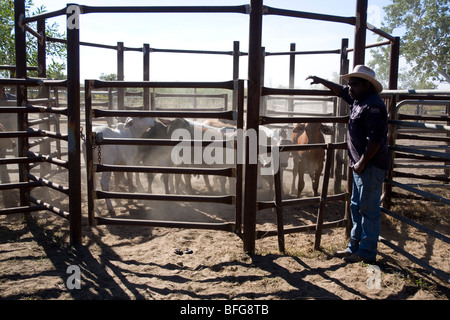 Aboriginal stockman, outback Australia Stock Photo - Alamy
