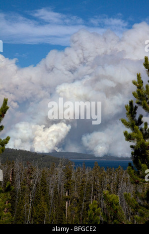 Smoke from Wildfire in Yellowstone River National Park, Wyoming, USA ...