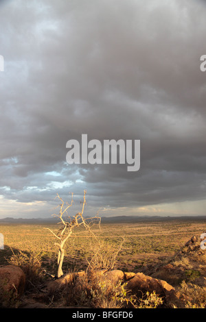 savannah landscape with storm in the background - nature reserve Serra ...