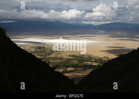 The Collapsed Volcanic Caldera Of Ngorongoro Crater, Tanzania Stock ...