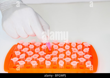 Lab worker adding violet liquid to test tubes Stock Photo - Alamy