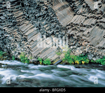 natural columnar basalt cliff with plants on top Stock Photo - Alamy