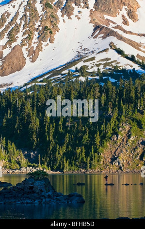 Mount Garibaldi in Garibaldi Provincial Park towers over the Town of ...