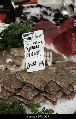 Whole plaice fish Stock Photo - Alamy