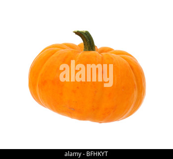 squash, pumpkin, or gourd, Cucurbita is a genus of herbaceous fruits in ...