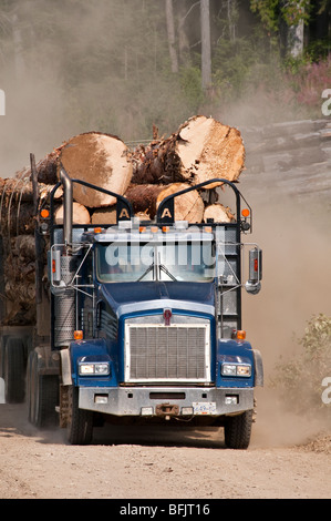 Logging truck on a dusty road Stock Photo - Alamy