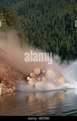 Logs sliding into water Stock Photo - Alamy