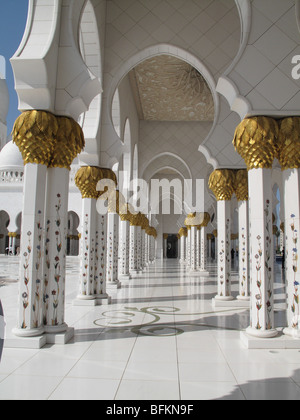 Gilded columns of Sheikh Zayed Bin Sultan Al Nahyan Mosque, Abu Dhabi ...