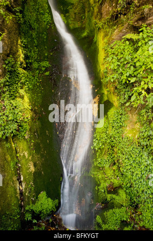 small waterfall in the mountains Stock Photo - Alamy