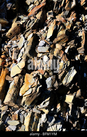 Organic rich shale rock, Oklahoma, USA Stock Photo - Alamy