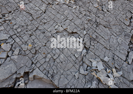 Fractured surface of shale rock, Oklahoma, USA Stock Photo - Alamy