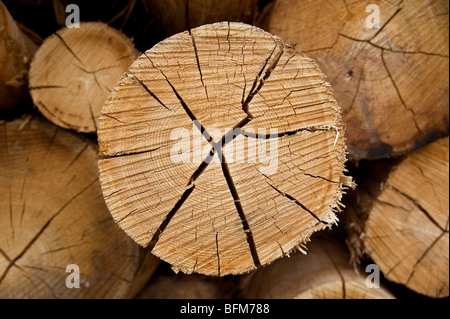 Australian hardwood logs stacked ready for milling Stock Photo - Alamy