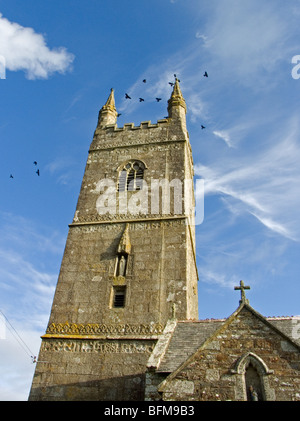 Rooks & Church Tower, Week St Mary, Cornwall Stock Photo - Alamy
